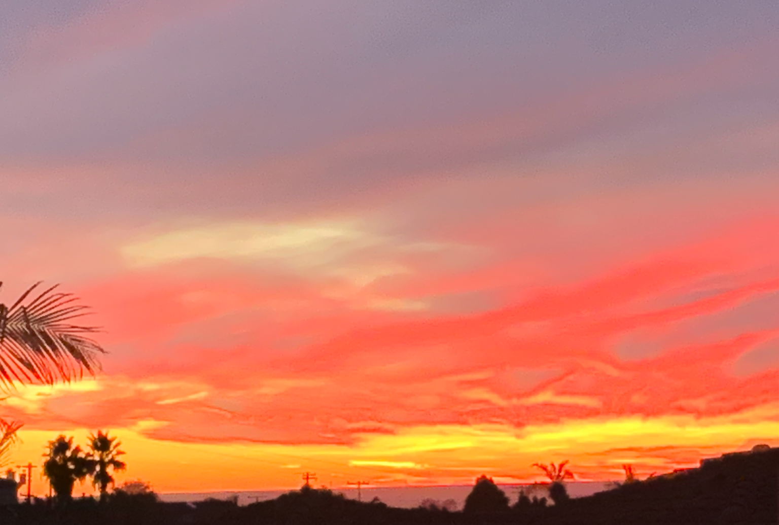 Sunset Cliffs Screen Doors And Window Screens - Bree